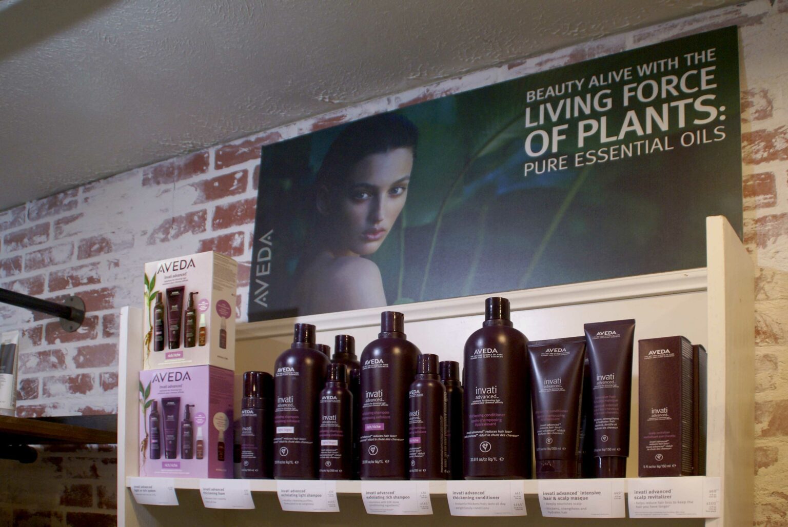 Home | Salon Synergy